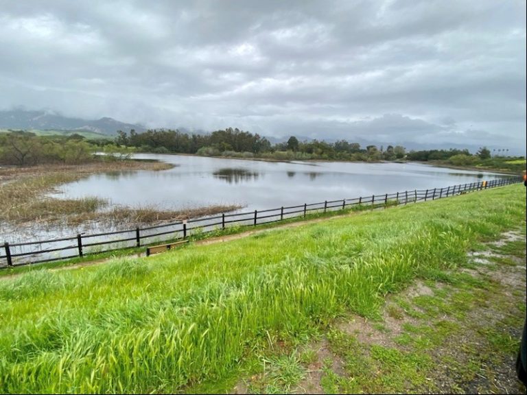 Lake Los Carneros Full | The Monarch Press
