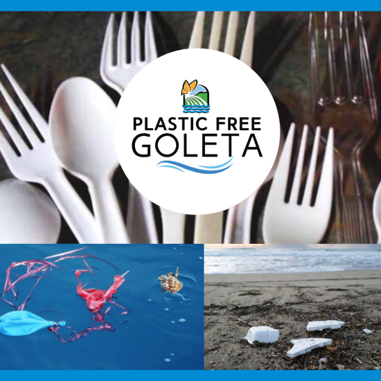 Plastic Reduction Regulations Begin | The Monarch Press