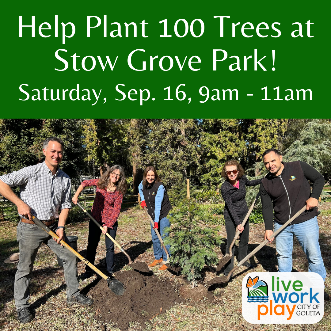 Help Plant 100 Trees at Stow Grove Park | The Monarch Press