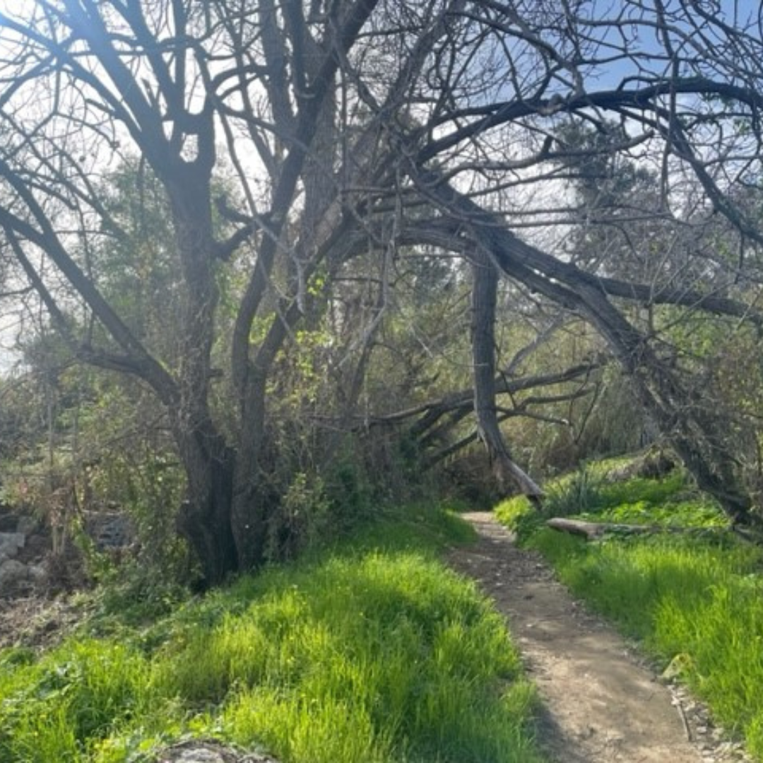 San Jose Creek Multipurpose Path Construction Underway | The Monarch Press